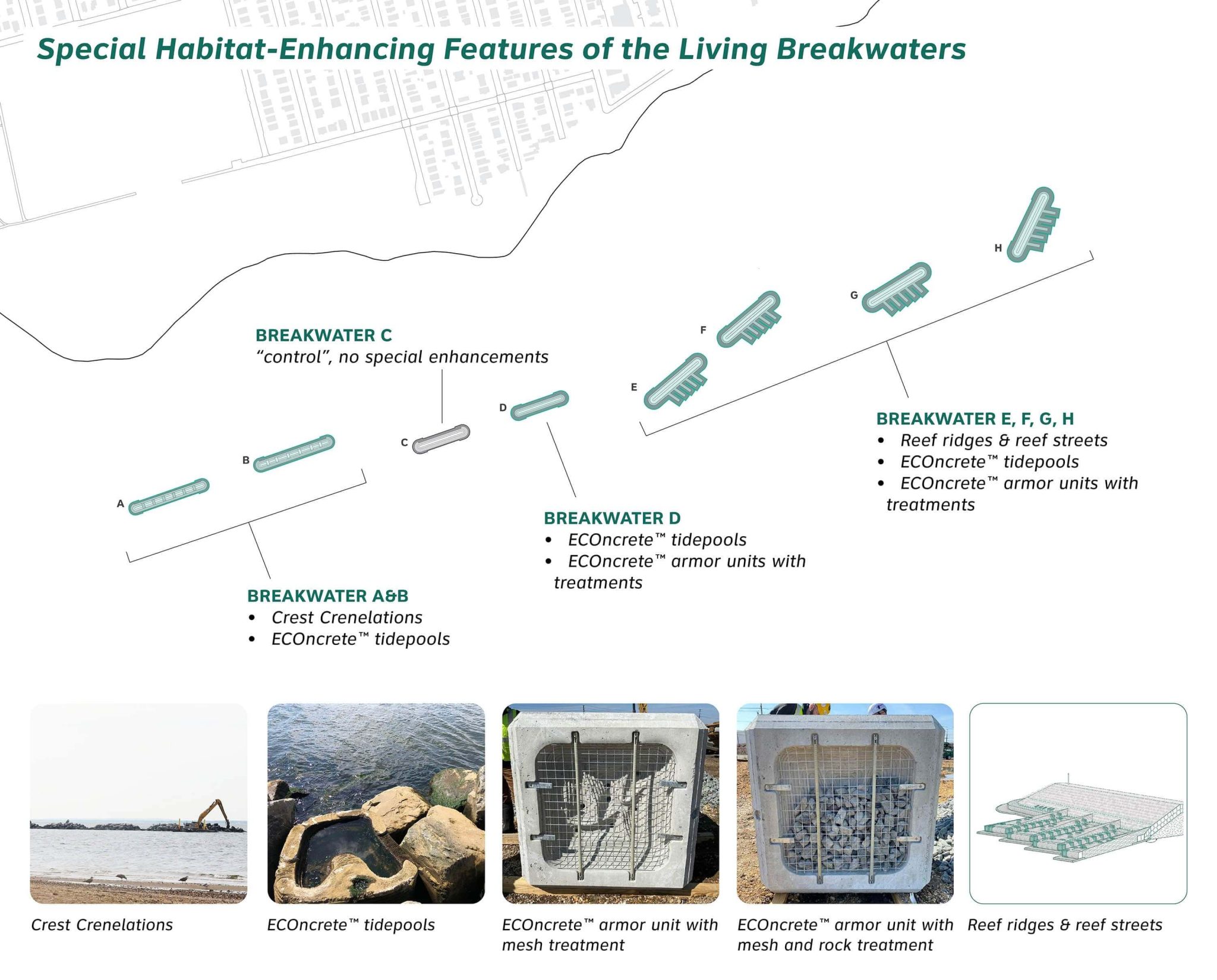 Innovation and Sustainability at Living Breakwaters - E-Crane
